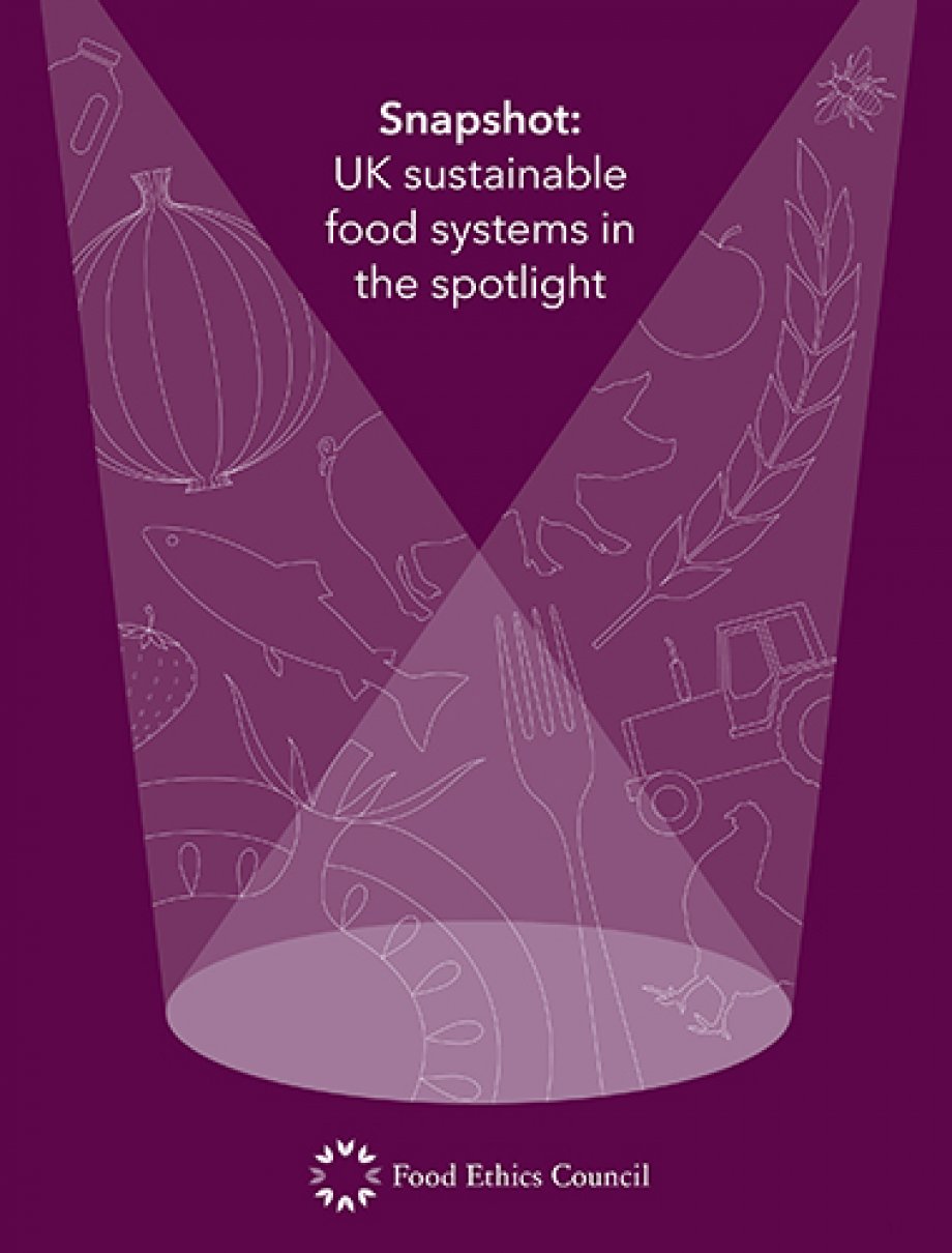 Measuring UK Food Sustainability | Food Ethics Council