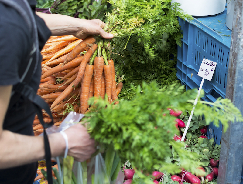 Trust & transparency | Food Ethics Council