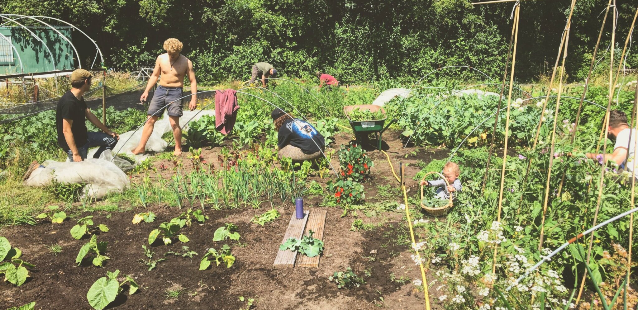 Food Citizen Stories: Manchester Urban Diggers | Food Ethics Council